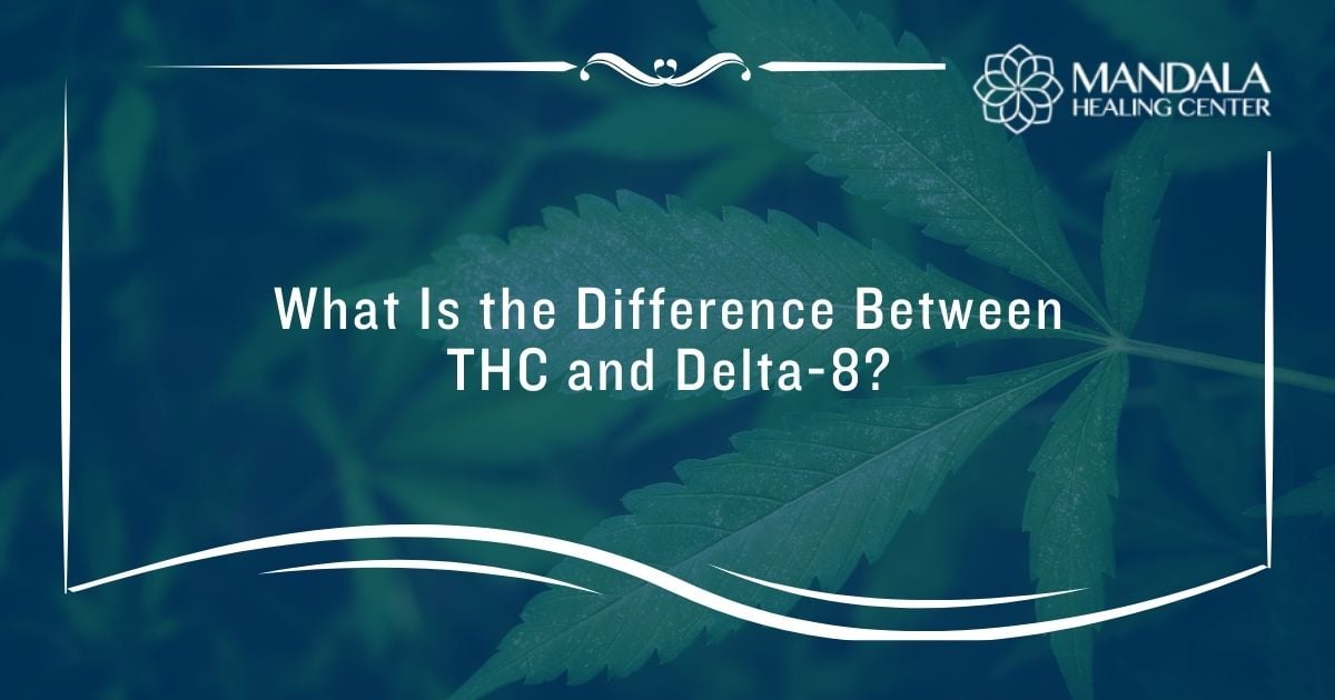 Delta-9 THC vs Delta-8 THC: What is the Difference?